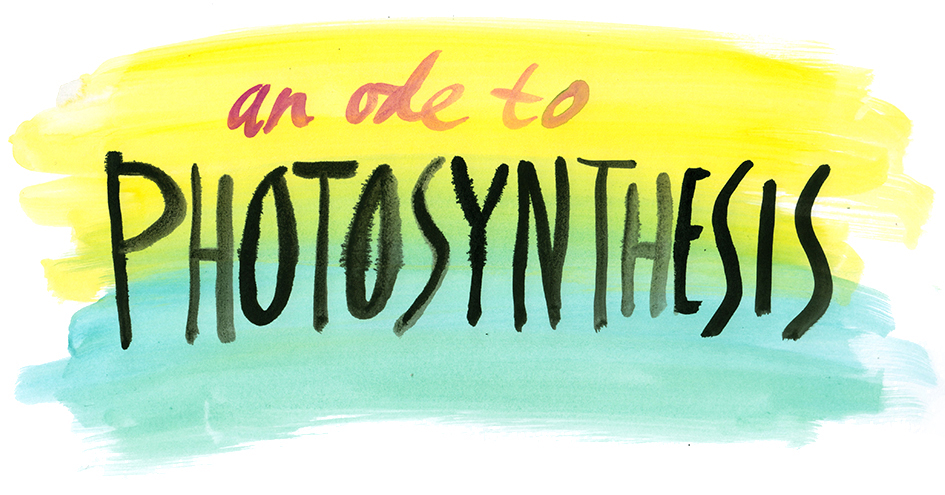 A Living Thing: An ode to photosynthesis